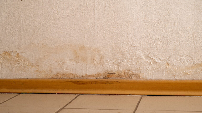 Do I Need To Replace My Wet Drywall? - Rescue One Restoration